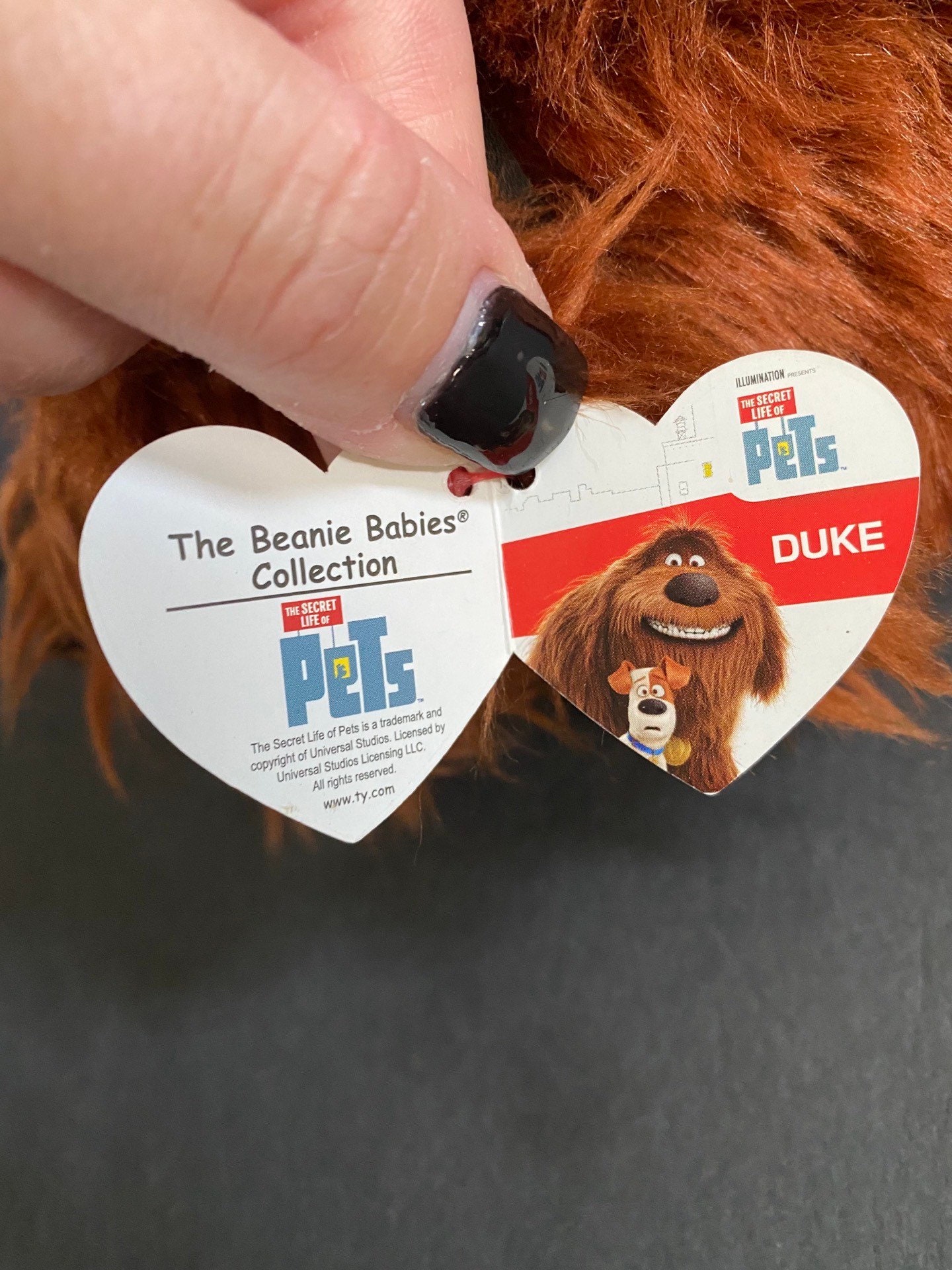 The Secret Life of Pets Duke the Dog Ty Beanie Baby - Etsy