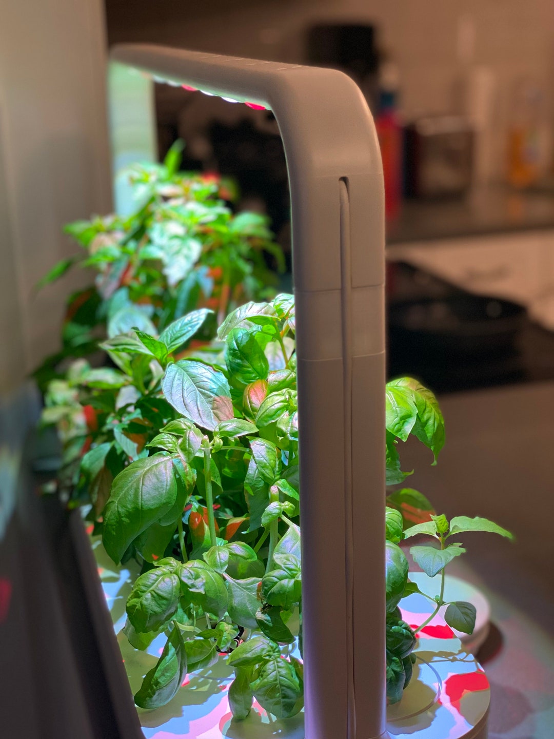 Grow Light Extensions for Indoor Garden - Click and Grow - Etsy