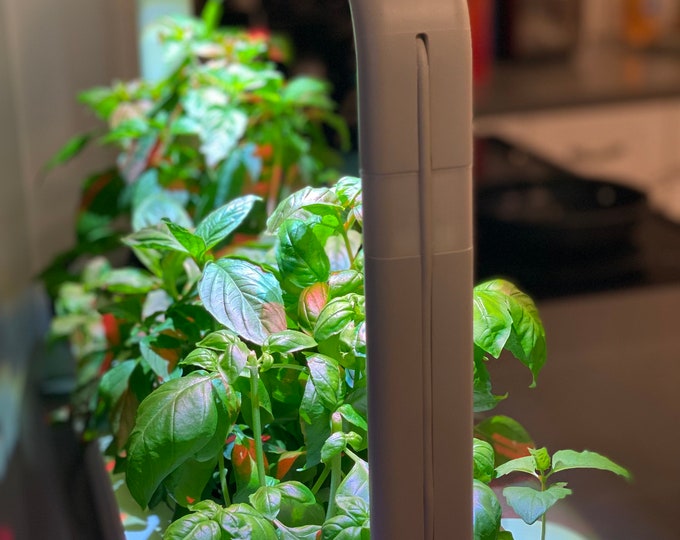 Grow Light Extensions for Indoor Garden - Click and Grow - Etsy