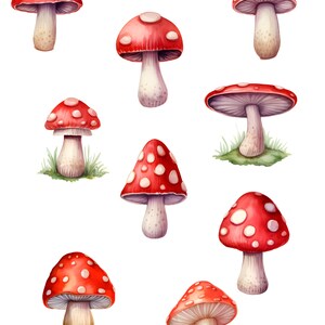Cute Watercolour Fairy Toadstools Graphics Set - 19 Premium Clip Art ...