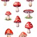 Cute Watercolour Fairy Toadstools Graphics Set 19 Premium Clip Art ...