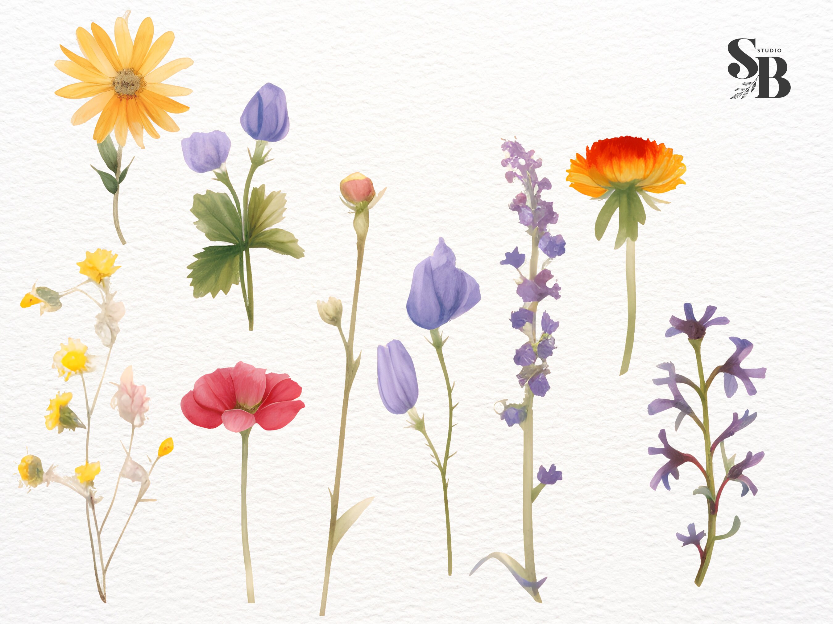 Watercolor Wildflowers Graphics Set, 40+ High-quality Clipart, 300 DPI ...