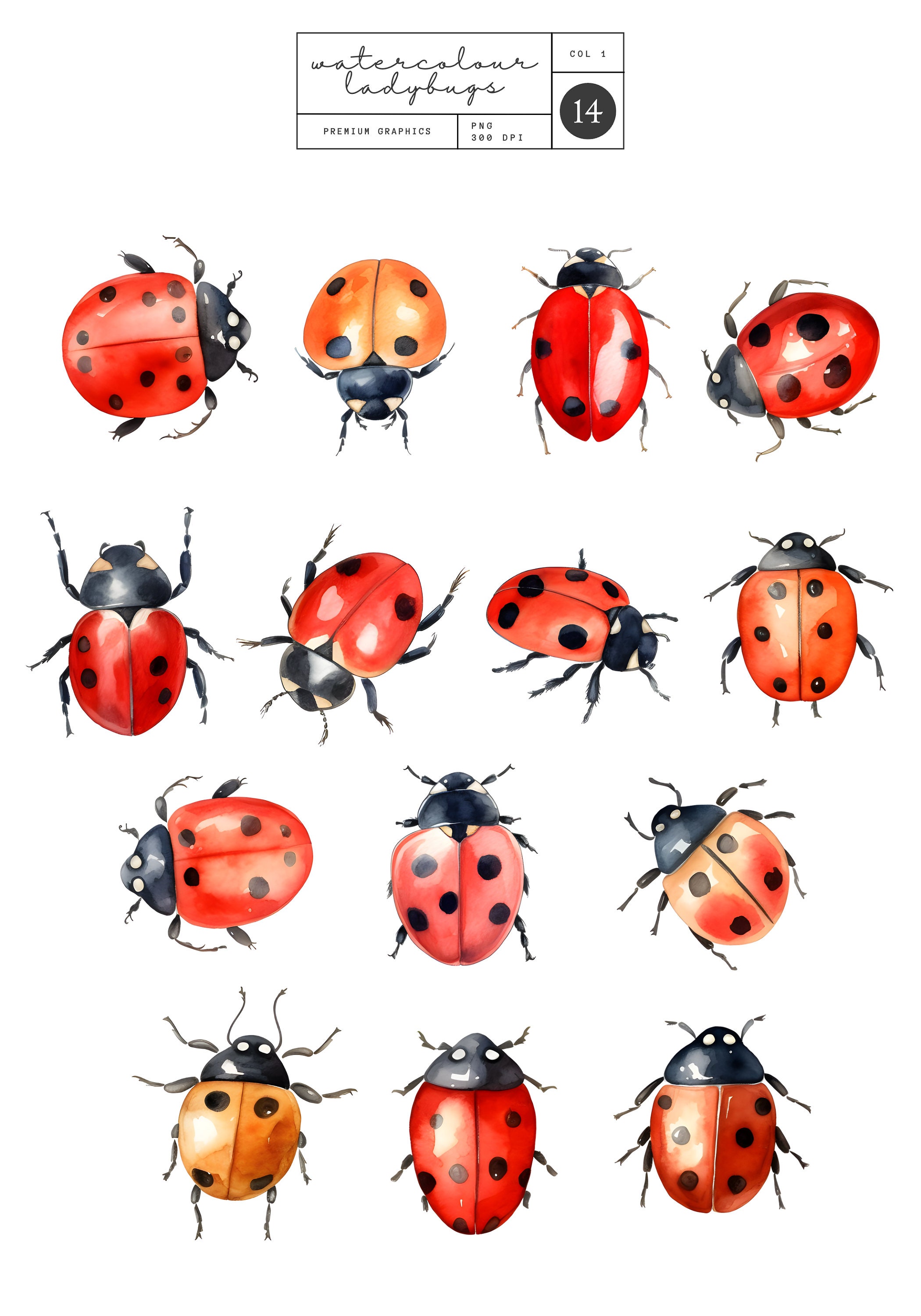 Watercolour Ladybugs Graphics Set - 14 Premium Illustrated Clip Art ...