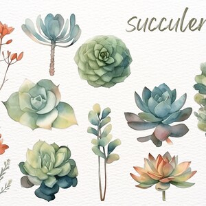 Watercolor Succulents Clipart Set, 48 Premium Houseplants Graphics ...