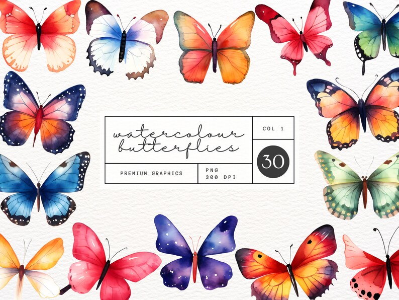 Beautiful Watercolour Butterflies Graphics Set - 30 Premium Clip Art ...
