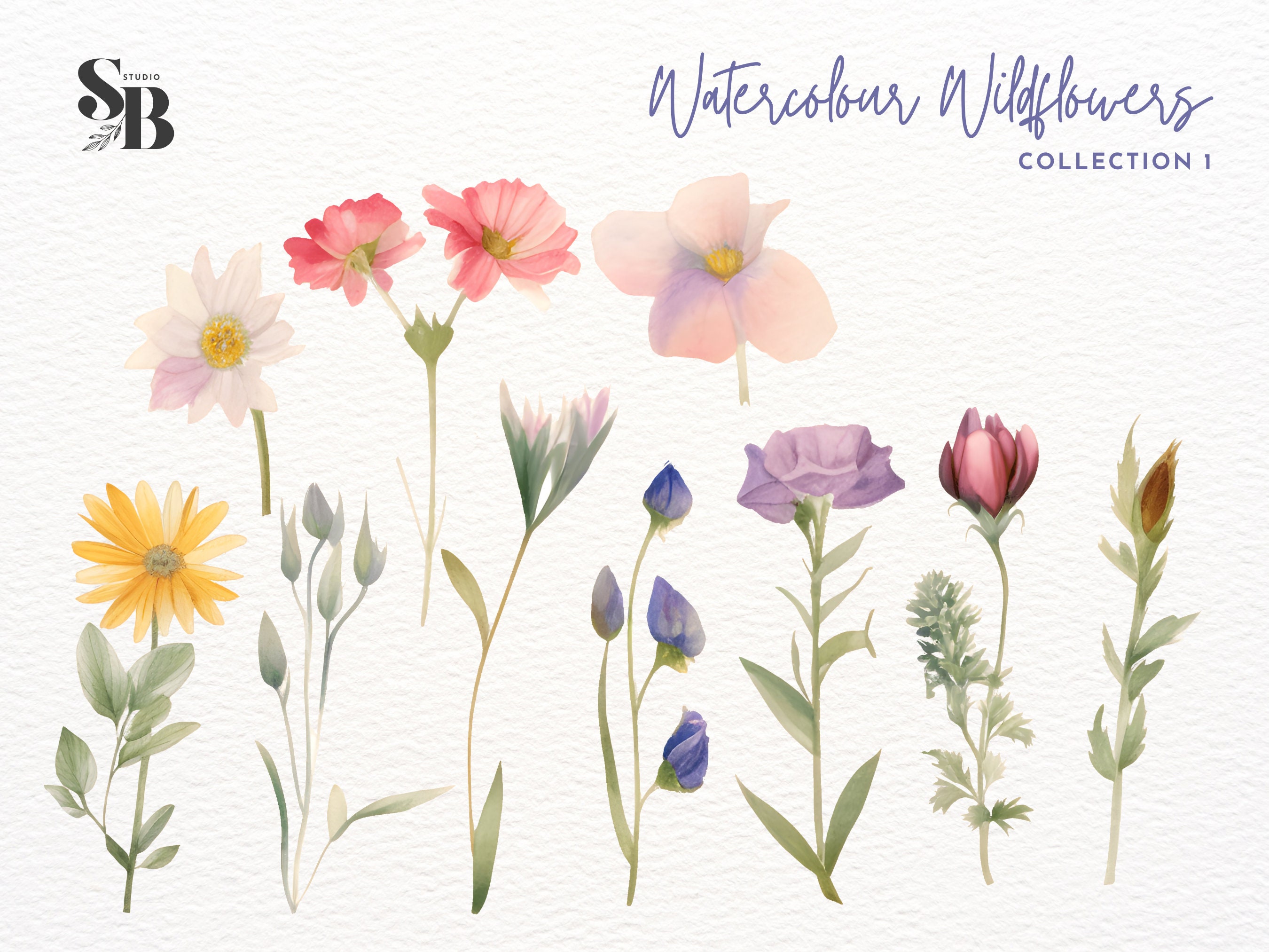 Watercolor Wildflowers Graphics Set, 40+ High-quality Clipart, 300 DPI ...