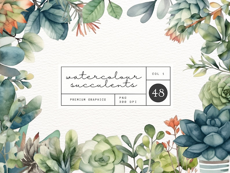 Watercolor Succulents Clipart Set, 48 Premium Houseplants Graphics ...