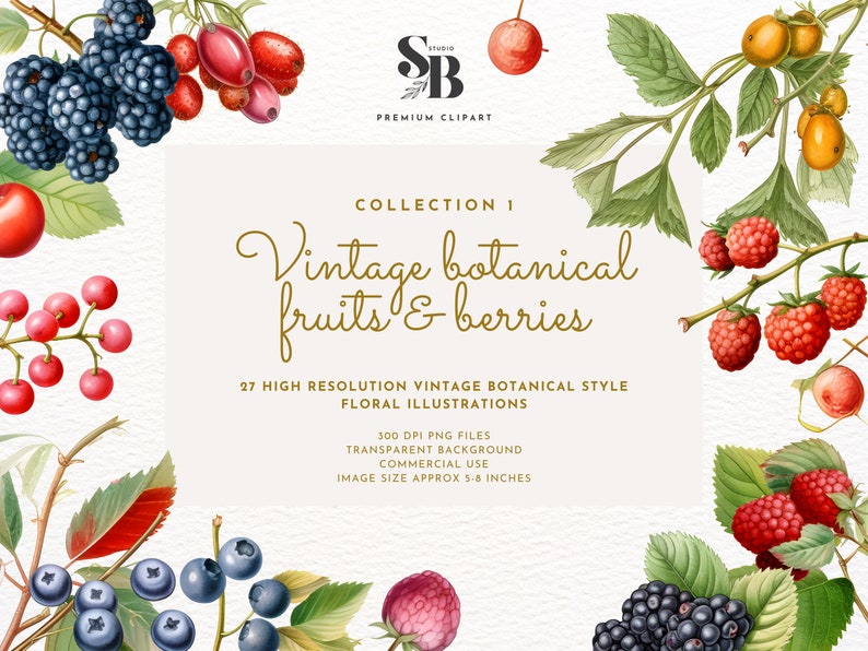 Premium Vintage Botanical Fruits and Berries Illustration Clipart ...