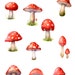 Cute Watercolour Fairy Toadstools Graphics Set 19 Premium Clip Art ...