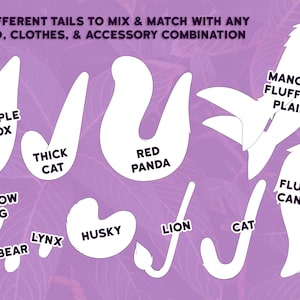 13 Species Furry Reference Sheet Base Kit [.psd File] - Etsy