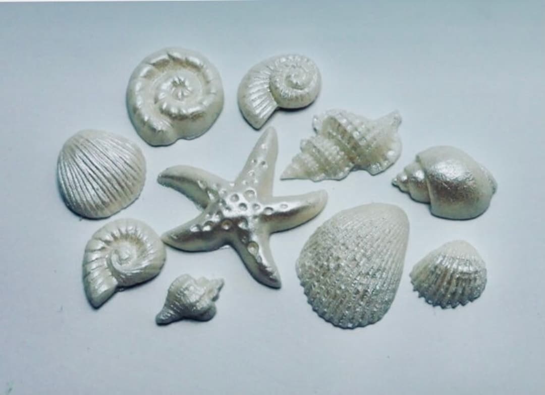Set of Fondant Seashells/turtle/sand Dollar/star Fish/mermaid Party ...