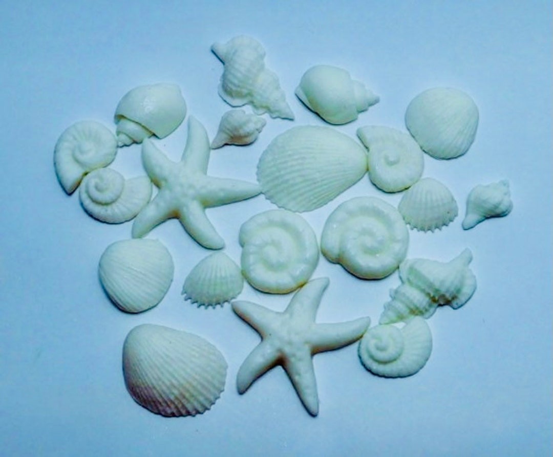 Set of Fondant Seashells/turtle/sand Dollar/star Fish/mermaid Party ...