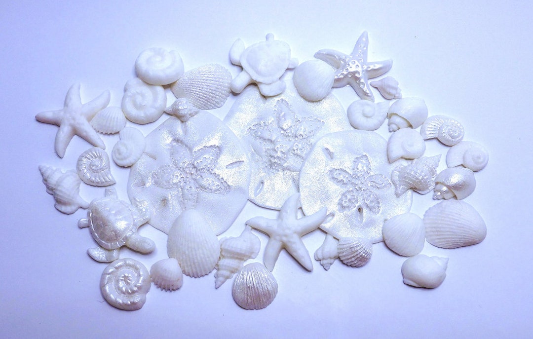 Set of Fondant Seashells/beach Wedding/bridal Shower/ocean Themed/under ...