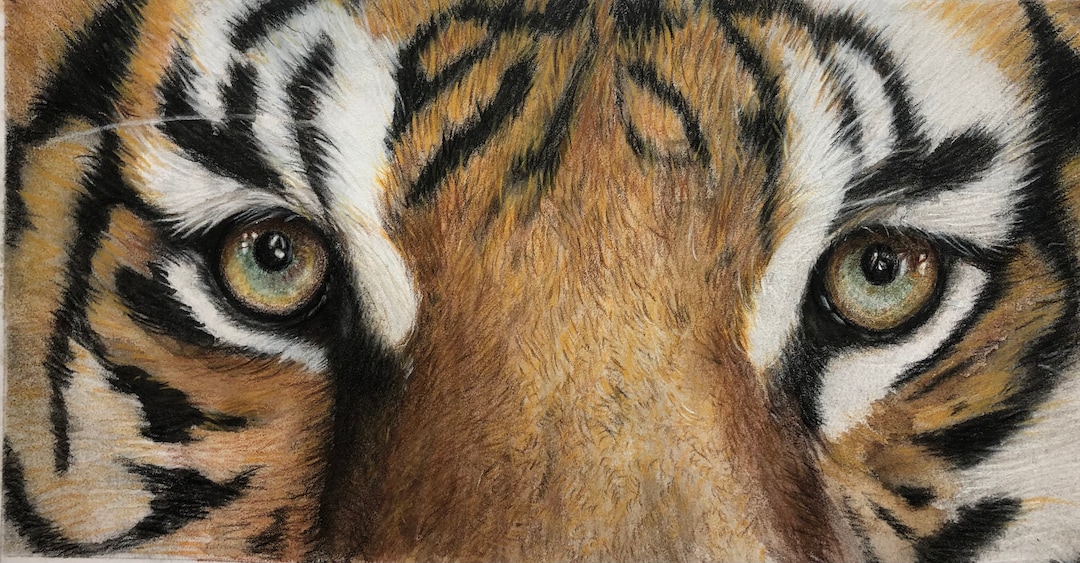 Tiger eyes images store