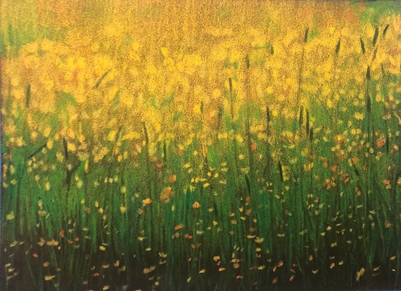 Field Of Flowers Drawing