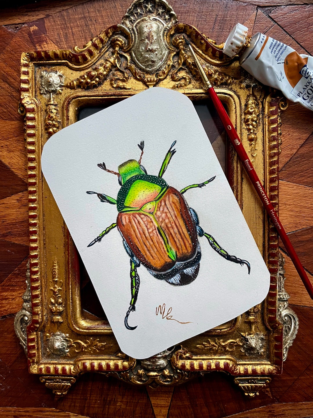 ORIGINAL DRAWING - 'rainbow Bug' Botanical Art, Framed Wall Art ...