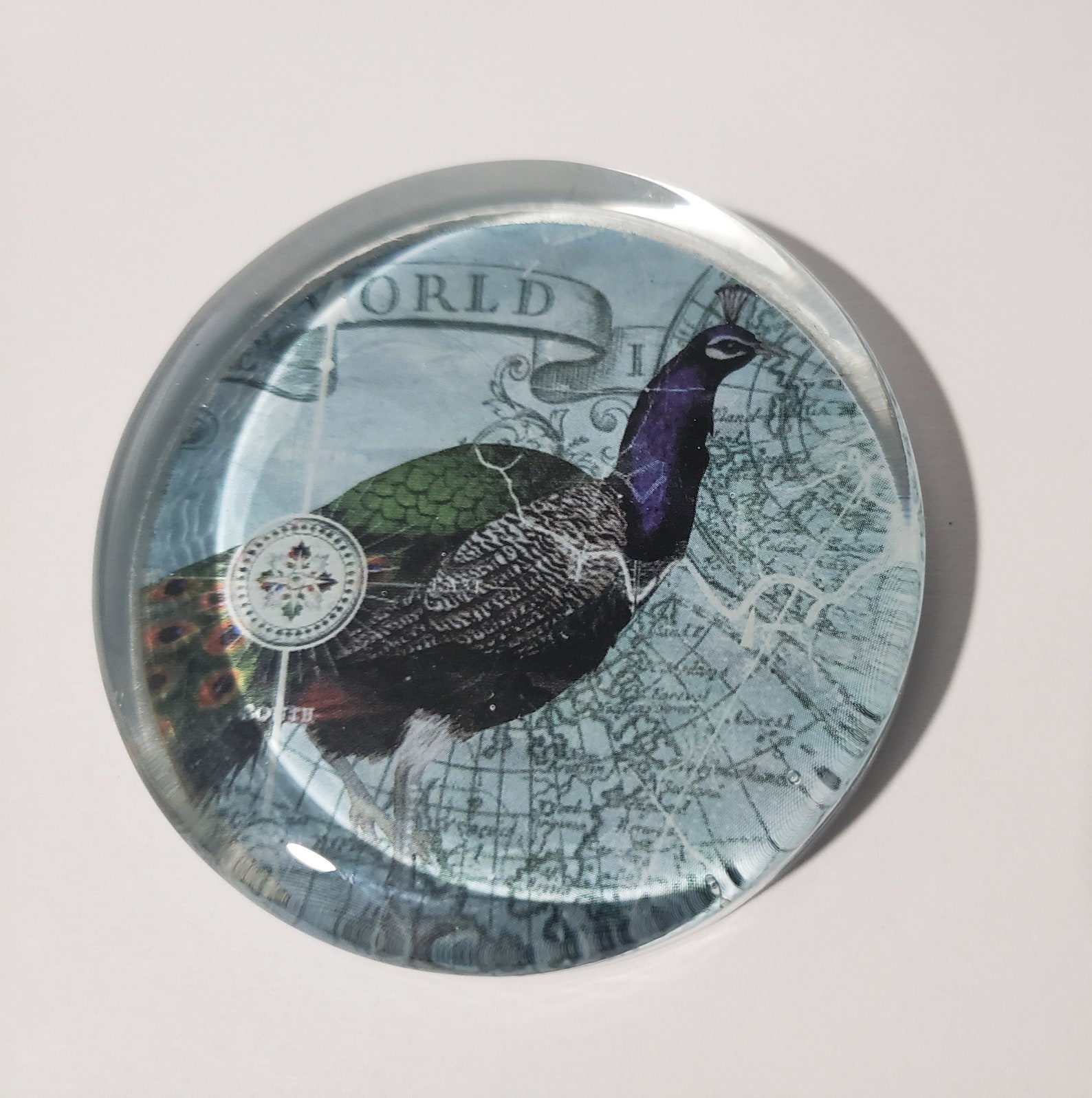 Heavy Glass Paperweight Peacock on Old World Map - Etsy