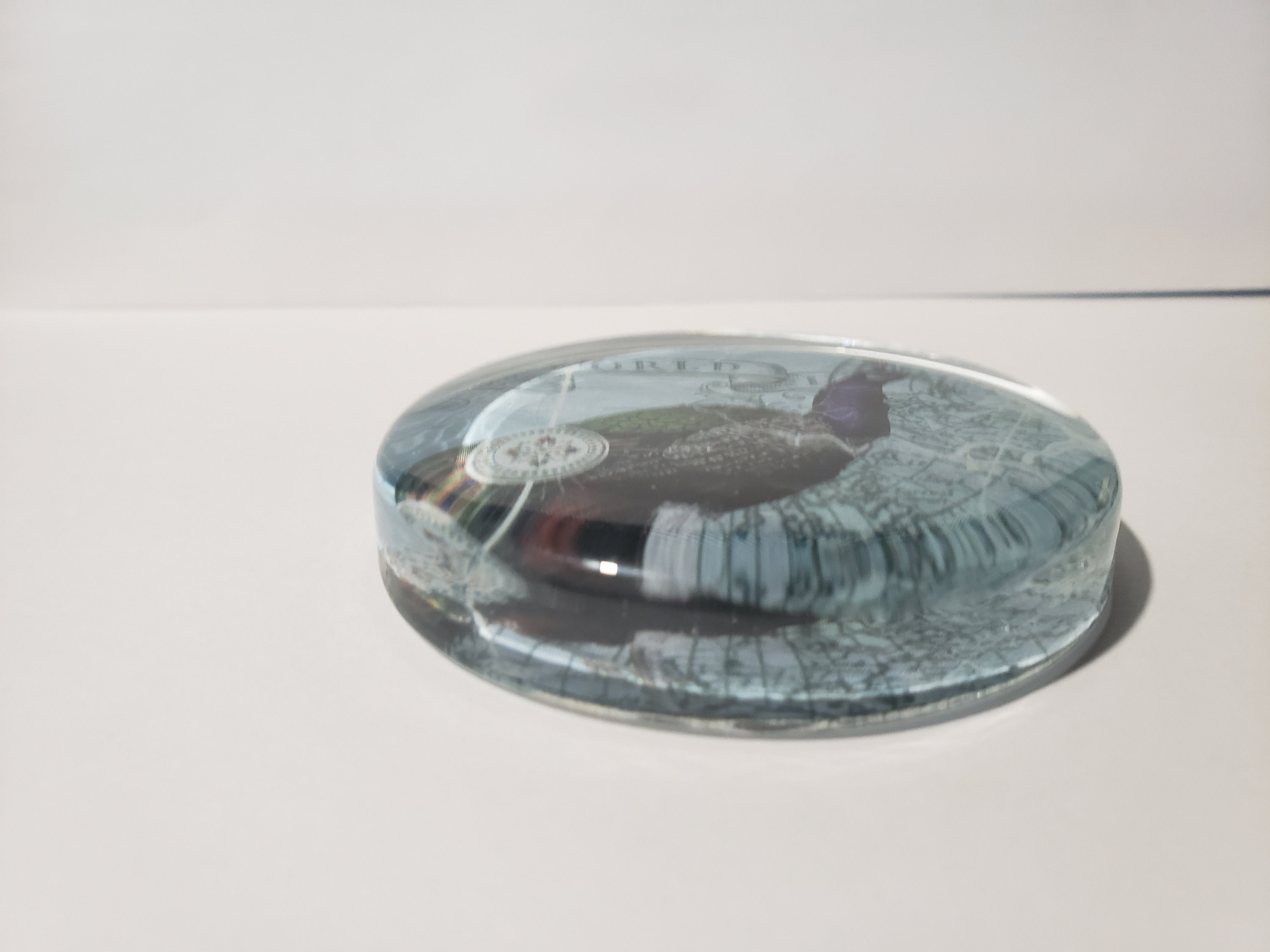 Heavy Glass Paperweight Peacock on Old World Map - Etsy