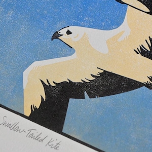 Swallow-tailed Kite - Limited Edition Linocut Print - Gifts for Bird ...