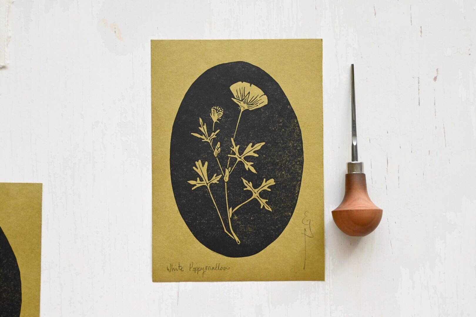 White Poppymallow Wine Cup Linocut Print Wildflower - Etsy