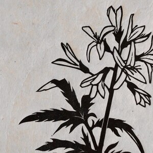 Cutleaf Toothwort - Original Linocut Wildflower Print - Etsy
