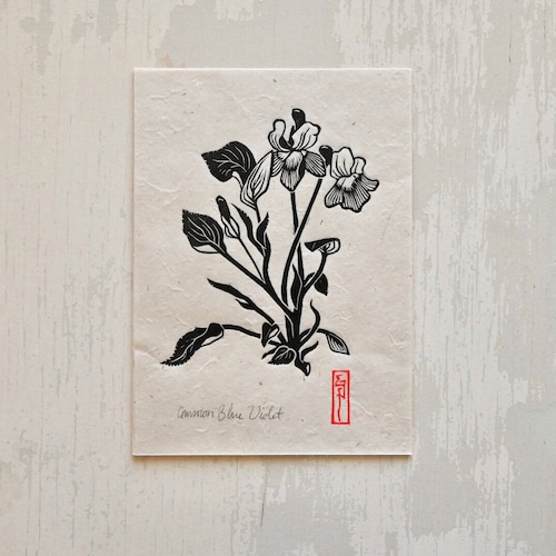 North American Wildflower Common Blue Violet Lino Print - Etsy