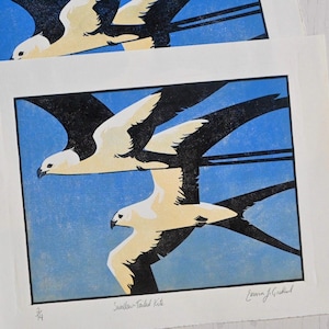 Swallow-tailed Kite - Limited Edition Linocut Print - Gifts for Bird ...
