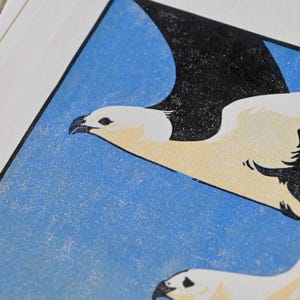 Swallow-tailed Kite - Limited Edition Linocut Print - Gifts for Bird ...