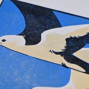 Swallow-tailed Kite - Limited Edition Linocut Print - Gifts for Bird ...