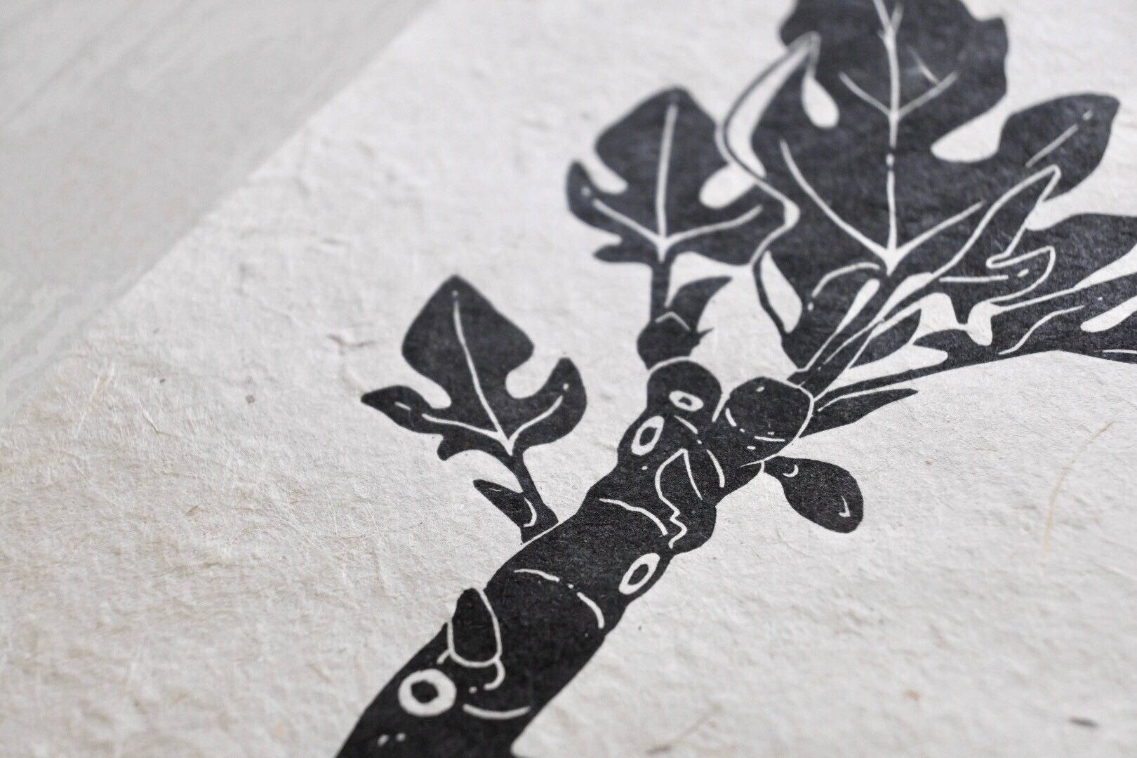 Fig Branch - Botanical Linocut Print