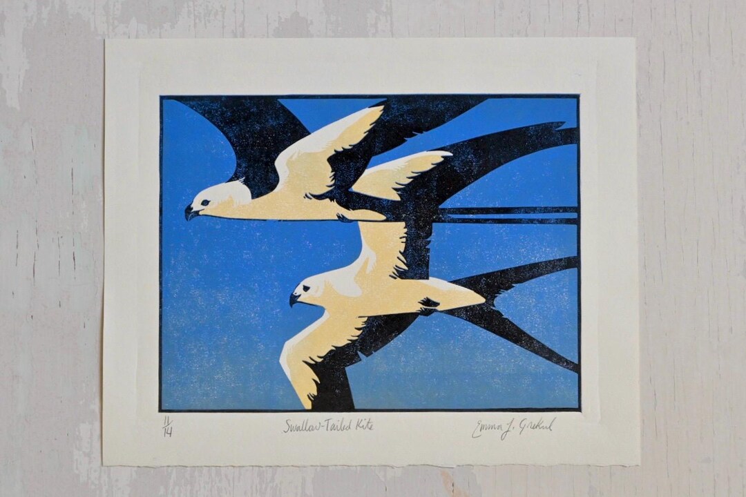 Swallow-tailed Kite - Limited Edition Linocut Print - Gifts for Bird ...