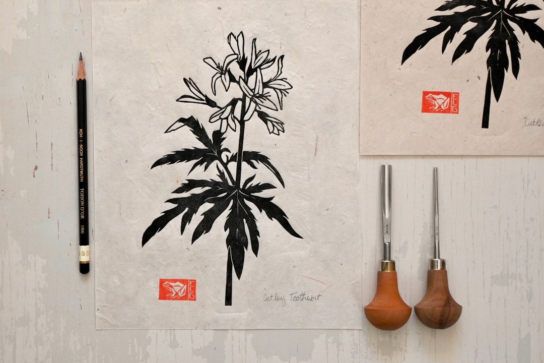 Cutleaf Toothwort Original Linocut Wildflower Print - Etsy
