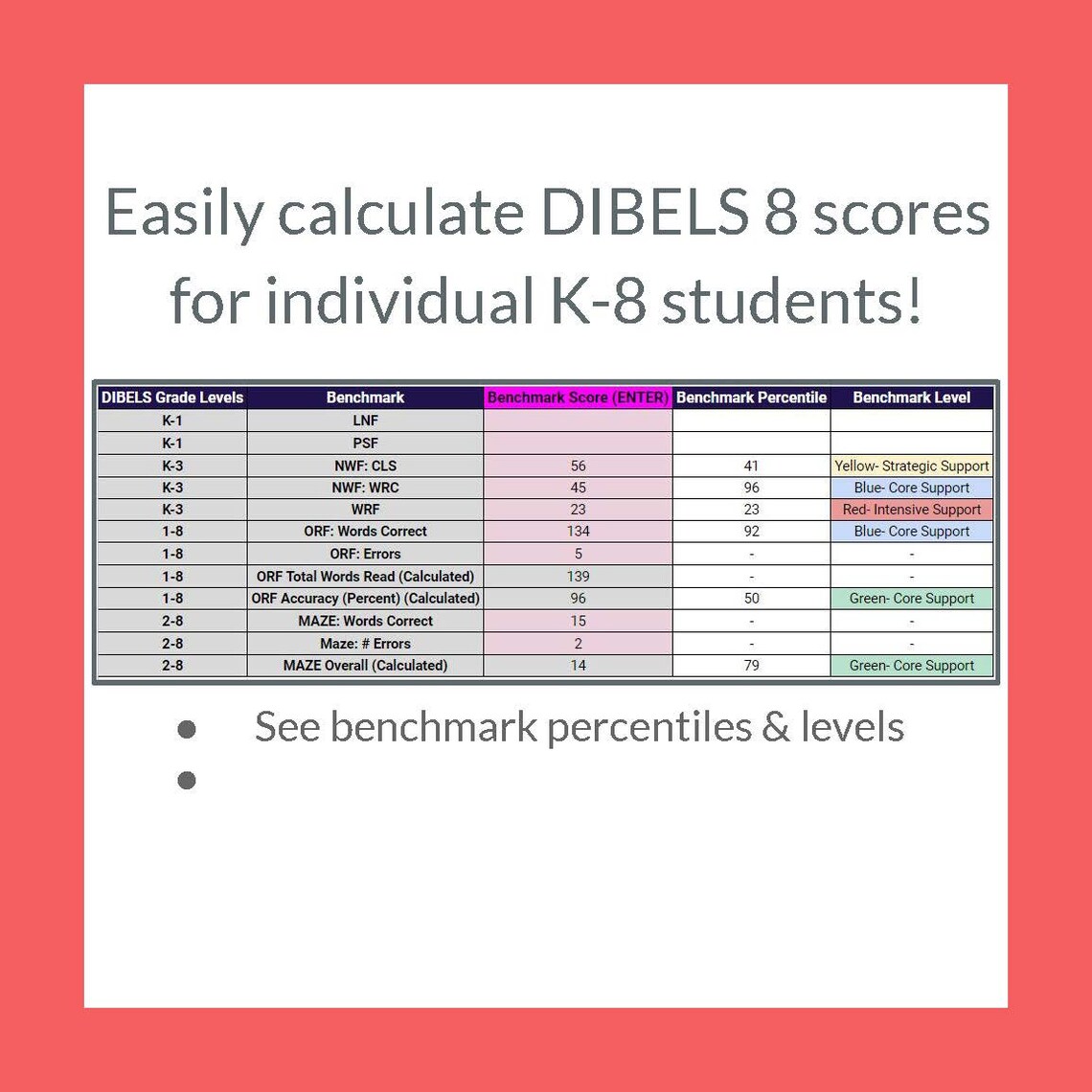 DIBELS Score Calculator for Individual Students - Etsy