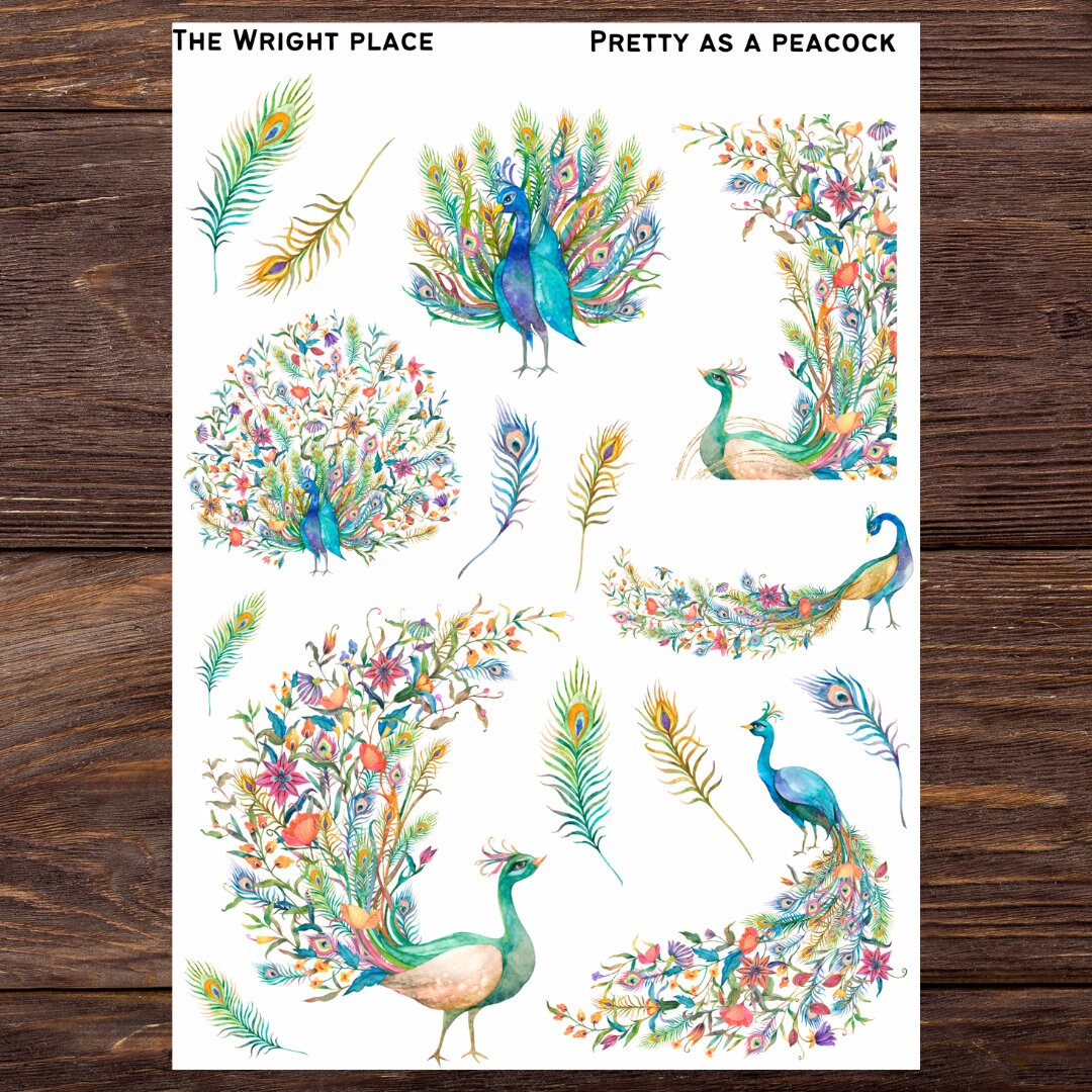 Pretty As A Peacock Stickers Etsy