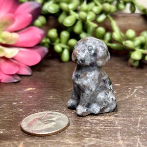 Labrador Dog Shaped Crystal Carvings | Dog Crystals | Crystal Animals ...