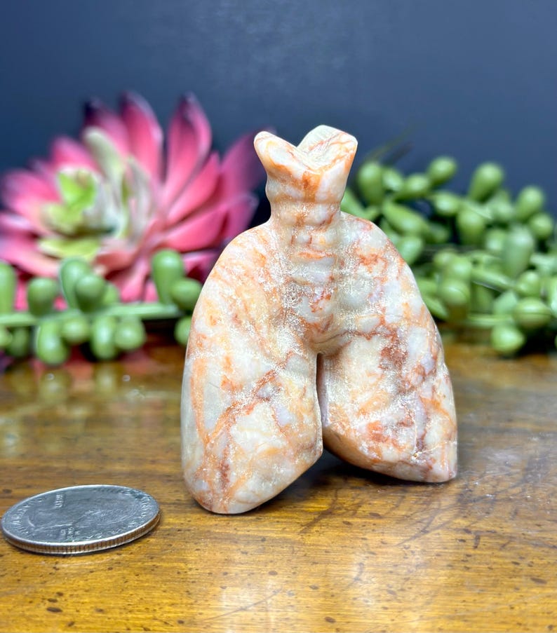 Natural Crystal Anatomical Heart, Lungs and Brain Carvings | Crystal ...
