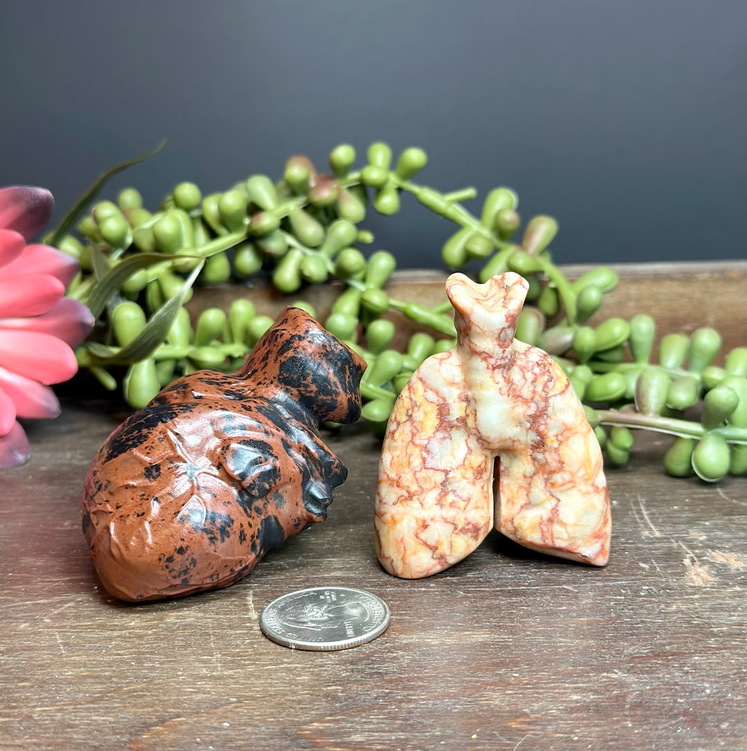 Anatomical Stone Heart and Lungs Carvings Anatomy Crystal Carvings ...