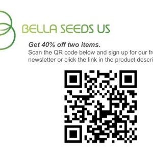 Geranium Bullseye Salmon Seeds || Annual Flower Seeds || Pelargonium X ...