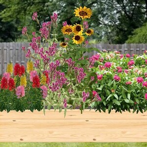 Beginner Cut Flower Garden Design Plan: Easy Grow Pollinator Garden ...