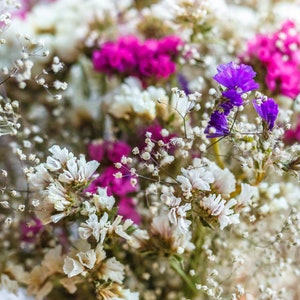 Statice Forever Silver 20 Seeds - Etsy