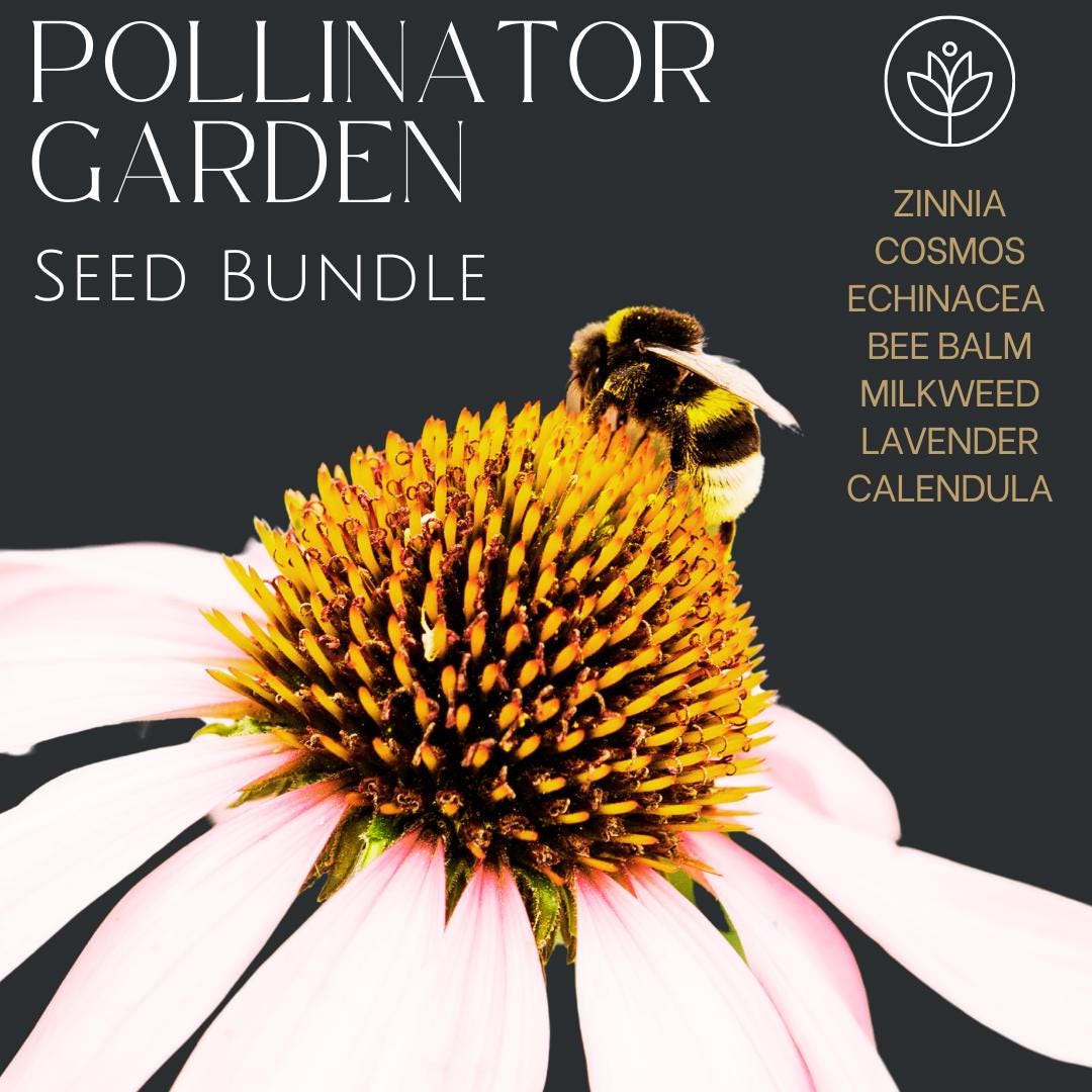 Pollinator Garden Seed Bundle: Attract Bees, Butterflies & Hummingbirds ...