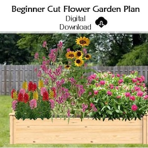 Beginner Cut Flower Garden Design Plan: Easy Grow Pollinator Garden ...