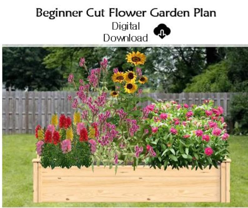 Beginner Cut Flower Garden Design Plan: Easy Grow Pollinator Garden ...