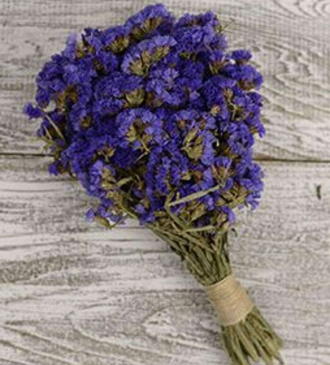 Statice Seeker Blue 20 Seeds - Etsy