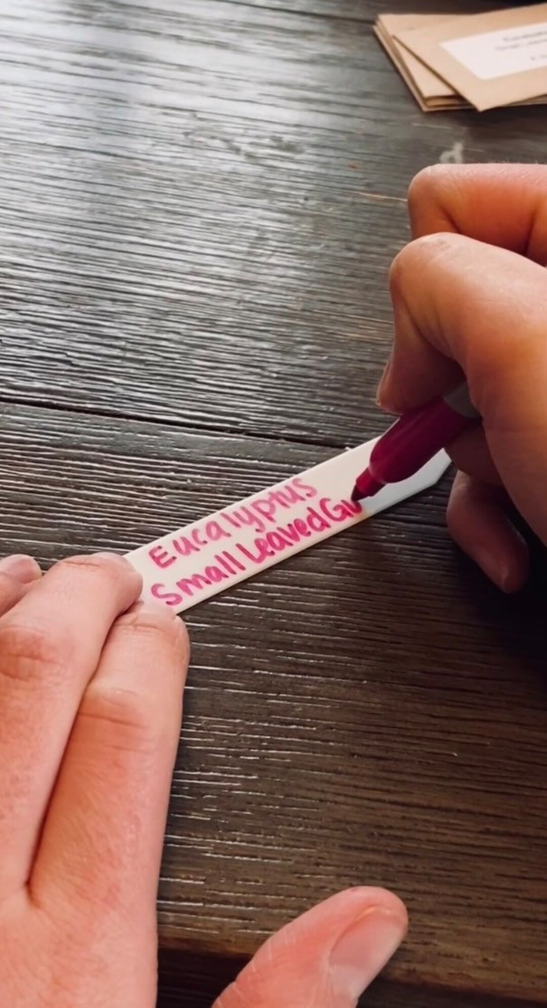 Blank White 4 Inch Garden Plant Labels - Waterproof, Durable, Easy to ...