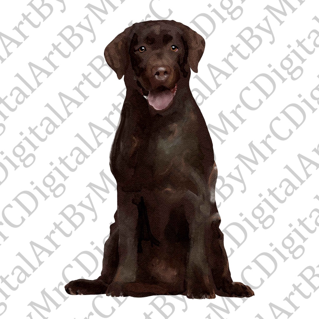 Chocolate Lab Sublimation Image, Brown Lab Watercolor Image, Labrador ...