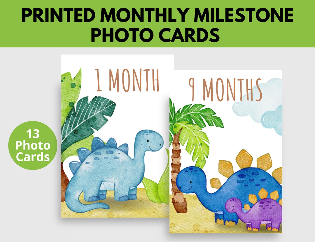 PRINTED Dinosaur Baby Monthly Milestone Cards - Etsy