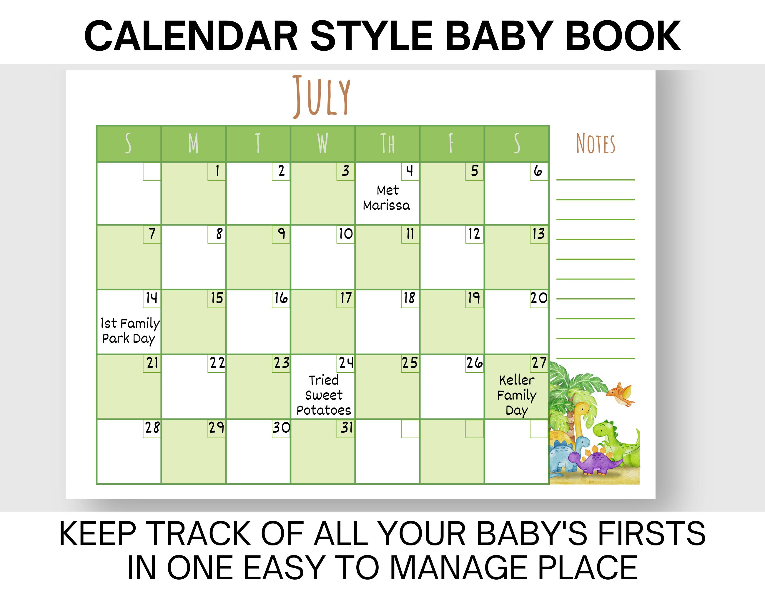 Dinosaur Baby's First Year Calendar Printable - Etsy
