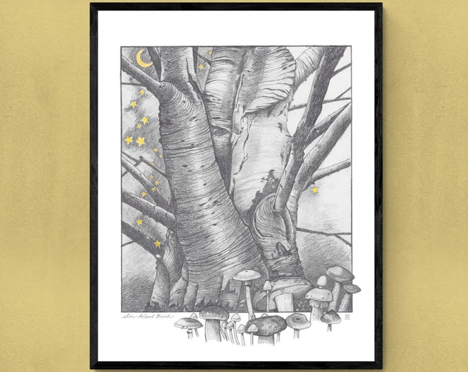 Beech Tree Drawing · Woodland Nursery Print · Mushroom Illustration ...