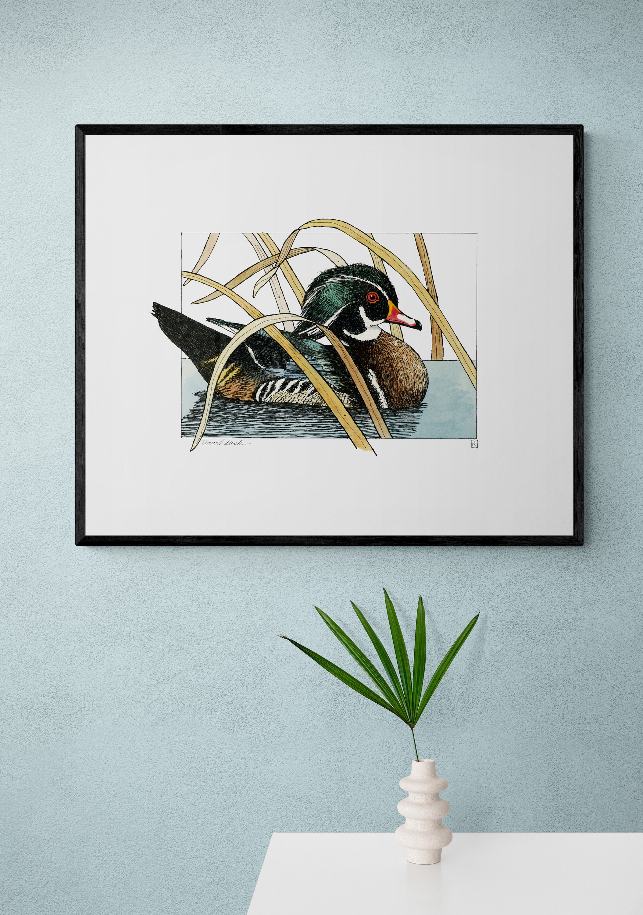 Wood Duck Illustration · Bird Hunter Art · Duck Wall Art · Waterfowl ...